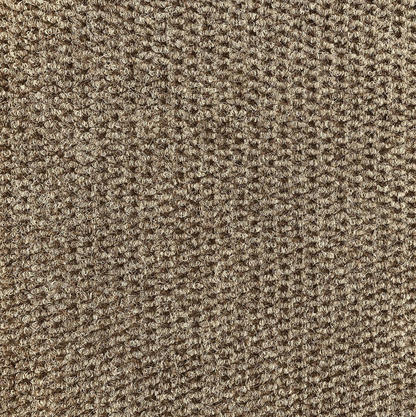 Berber Point 650 -Broadloom Carpet — Kalley